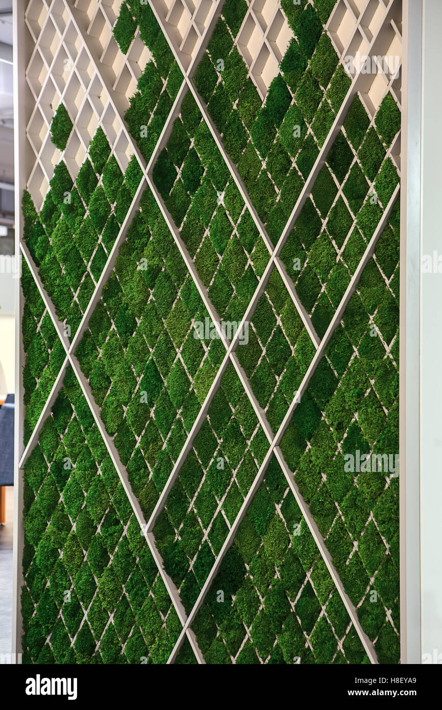 Stand with green grass Stock Photo - Alamy