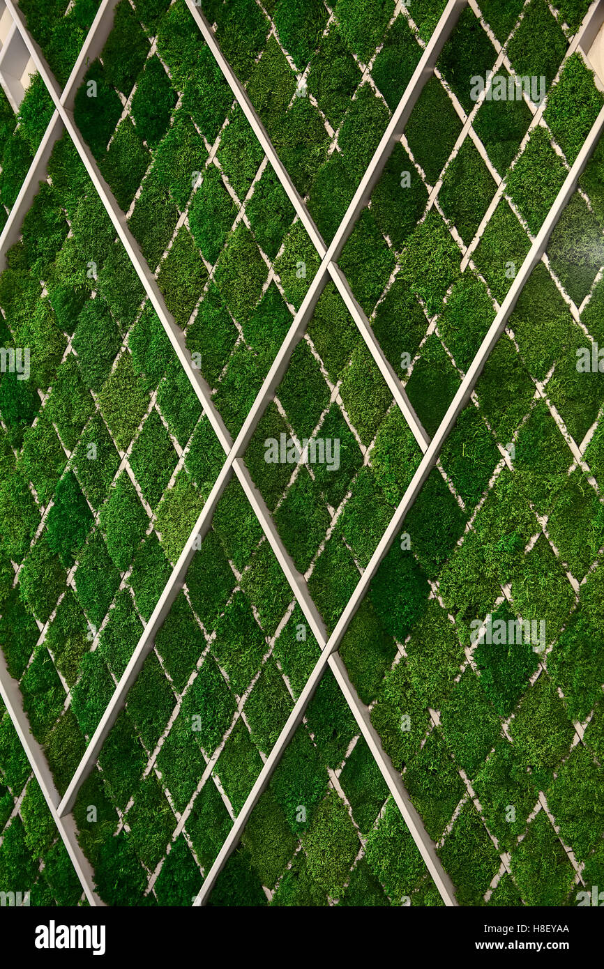Stand with green grass Stock Photo - Alamy