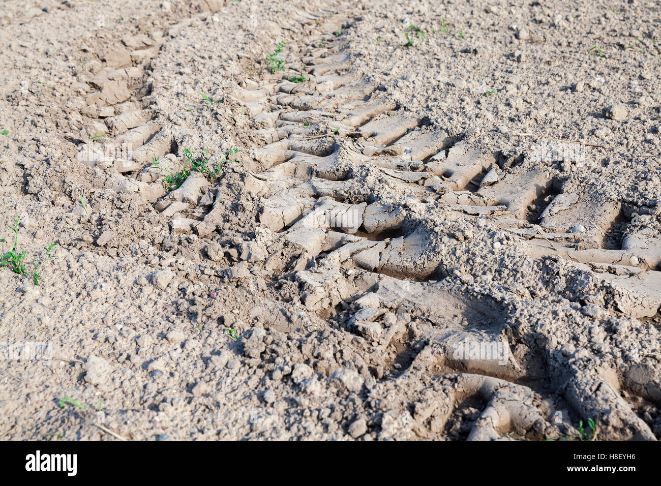 Wheel tracks on the field Stock Photo - Alamy