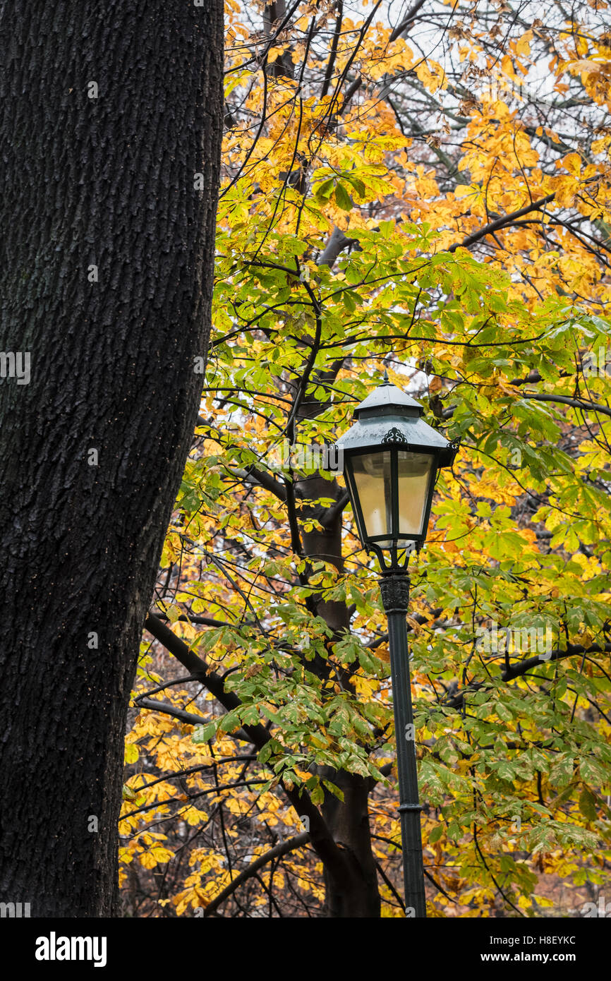 Street lamp in front of autumn leaves on trees in a park in Krakow in ...