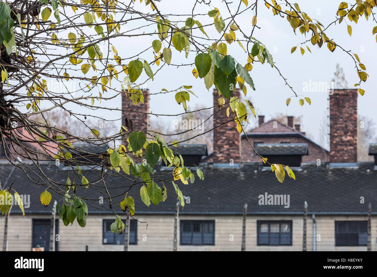Chimneys auschwitz concentration camp hi-res stock photography and ...
