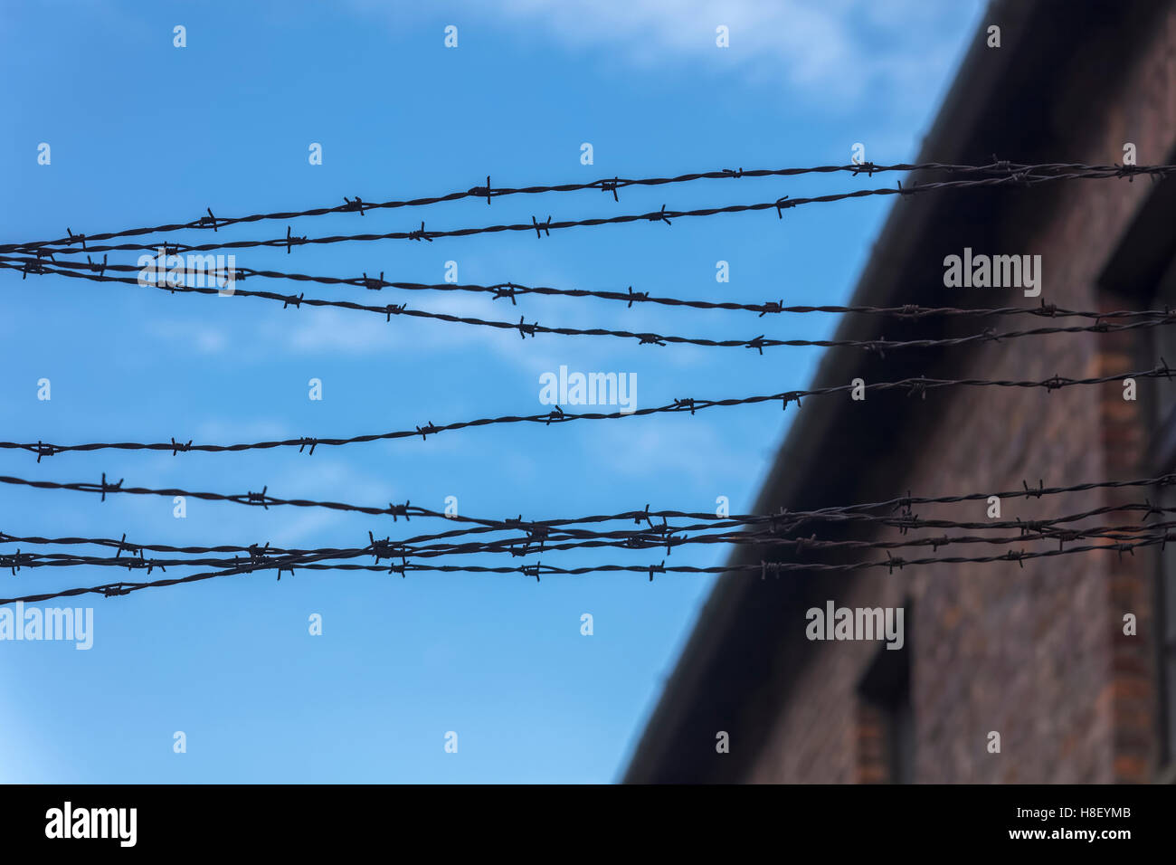 Holocaust barbed wire hi-res stock photography and images - Alamy