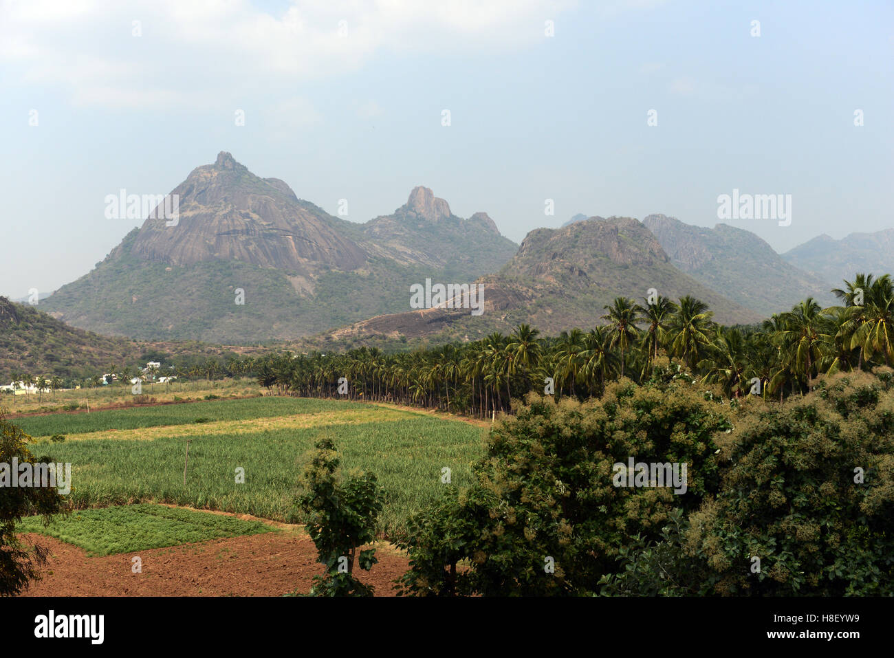 Mayiladumparai hi-res stock photography and images - Alamy