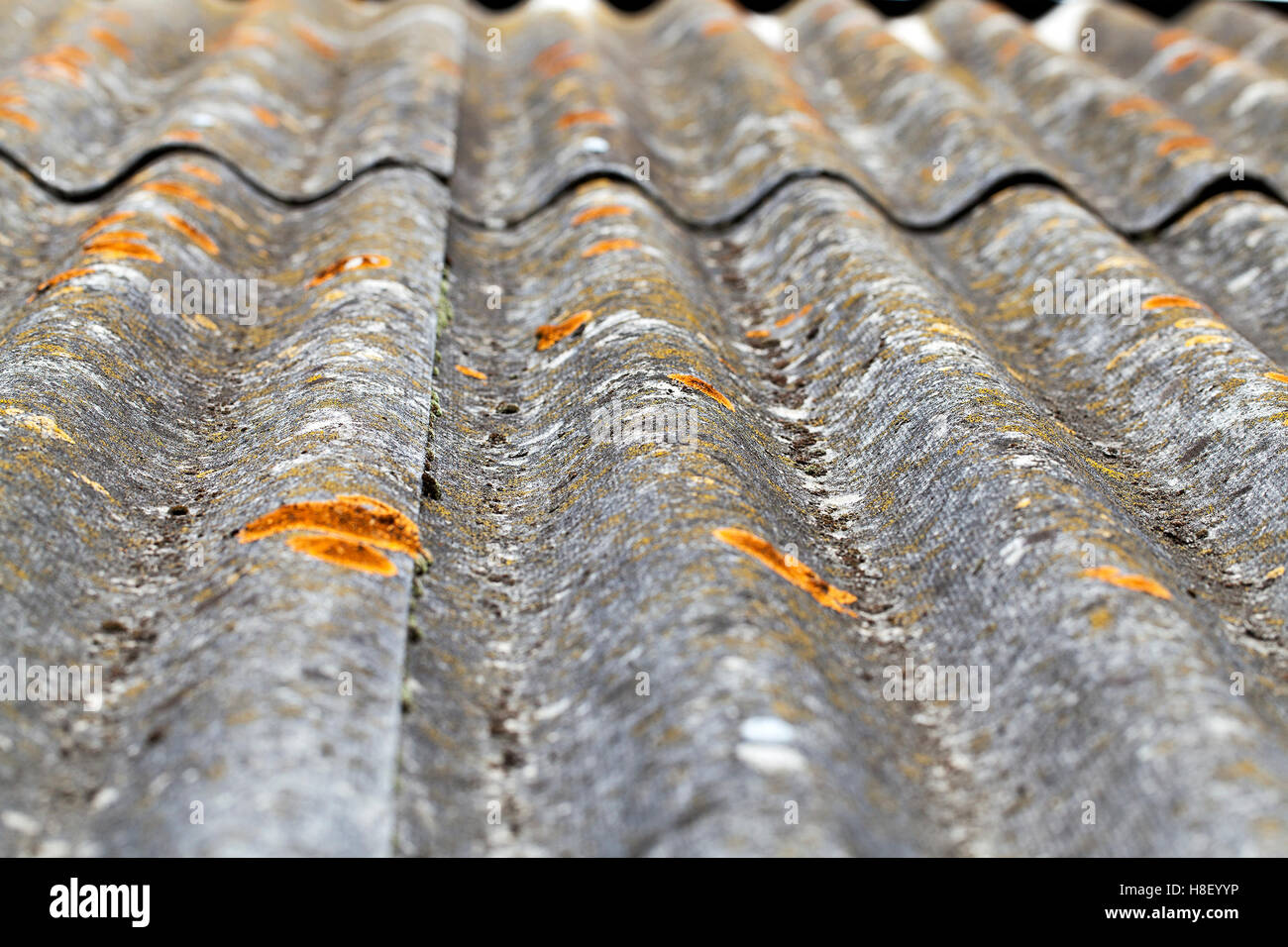 slate with moss Stock Photo - Alamy