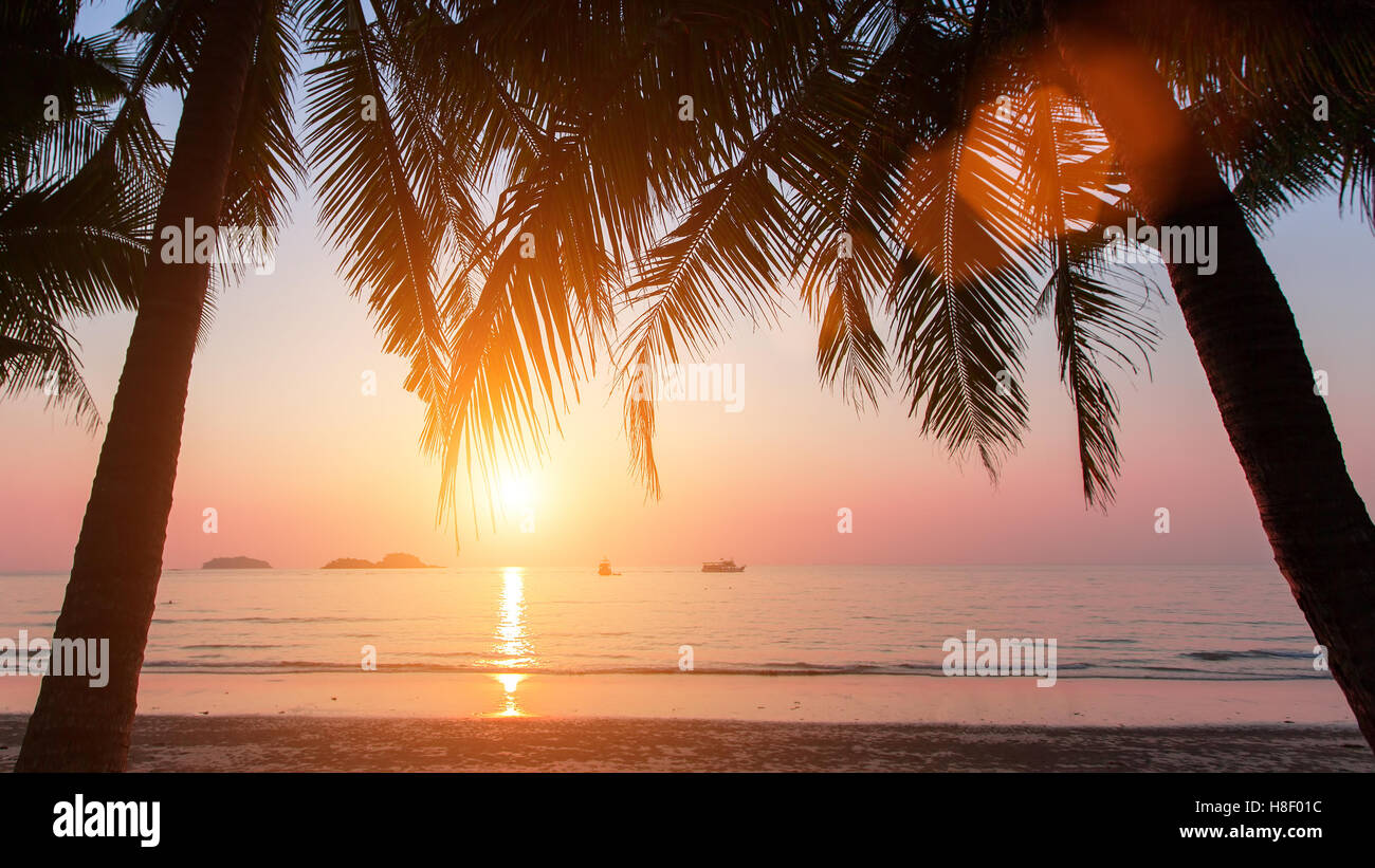 Wonderful sunset on the beach with coconut trees Stock Photo - Alamy