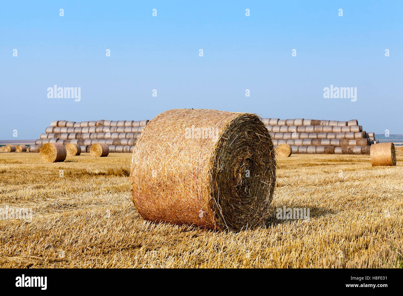stack of straw in the field Stock Photo - Alamy