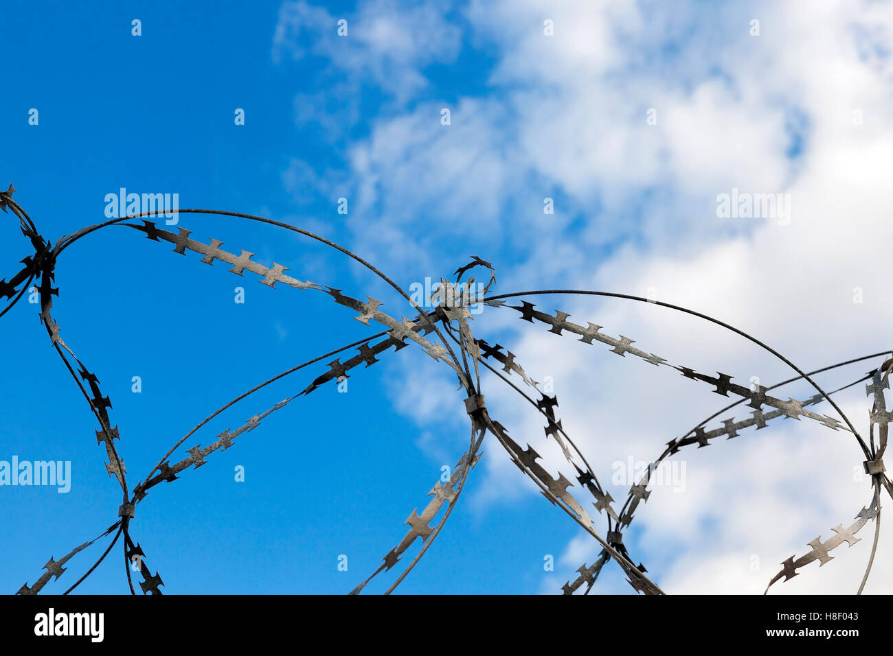 old barbed wire Stock Photo - Alamy
