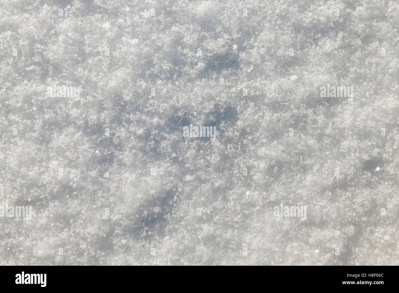 snow on the ground Stock Photo - Alamy