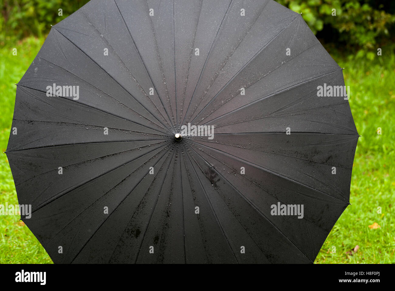 black umbrella with drops Stock Photo - Alamy