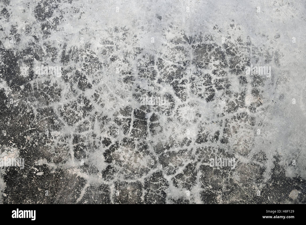 Polished old grey concrete floor, texture background Stock Photo - Alamy