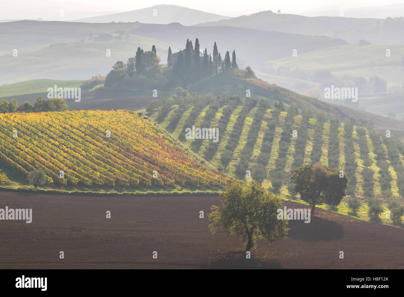 Beautiful landscapes of Tuscany with hills, vineyards and cypress trees ...
