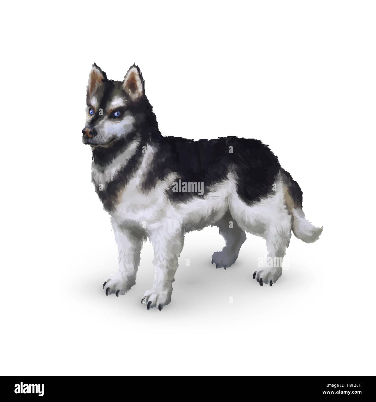 One wolf portrait Stock Vector Images - Alamy