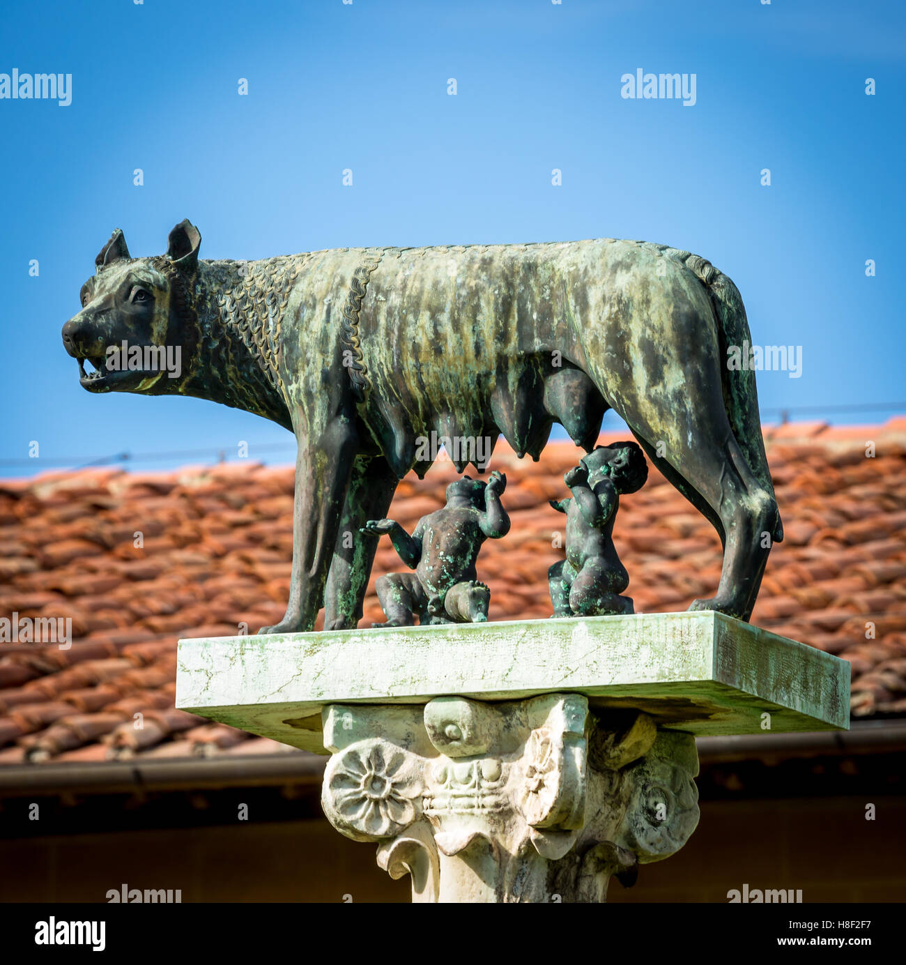 Statue of Romulus, Remus and Capitoline wolf in Pisa, Italy Stock Photo ...