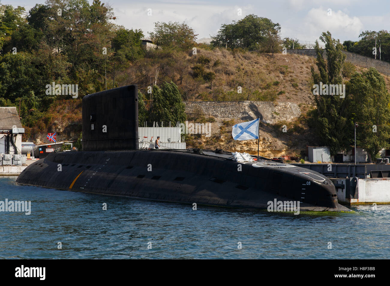 Submarine flora hi-res stock photography and images - Alamy