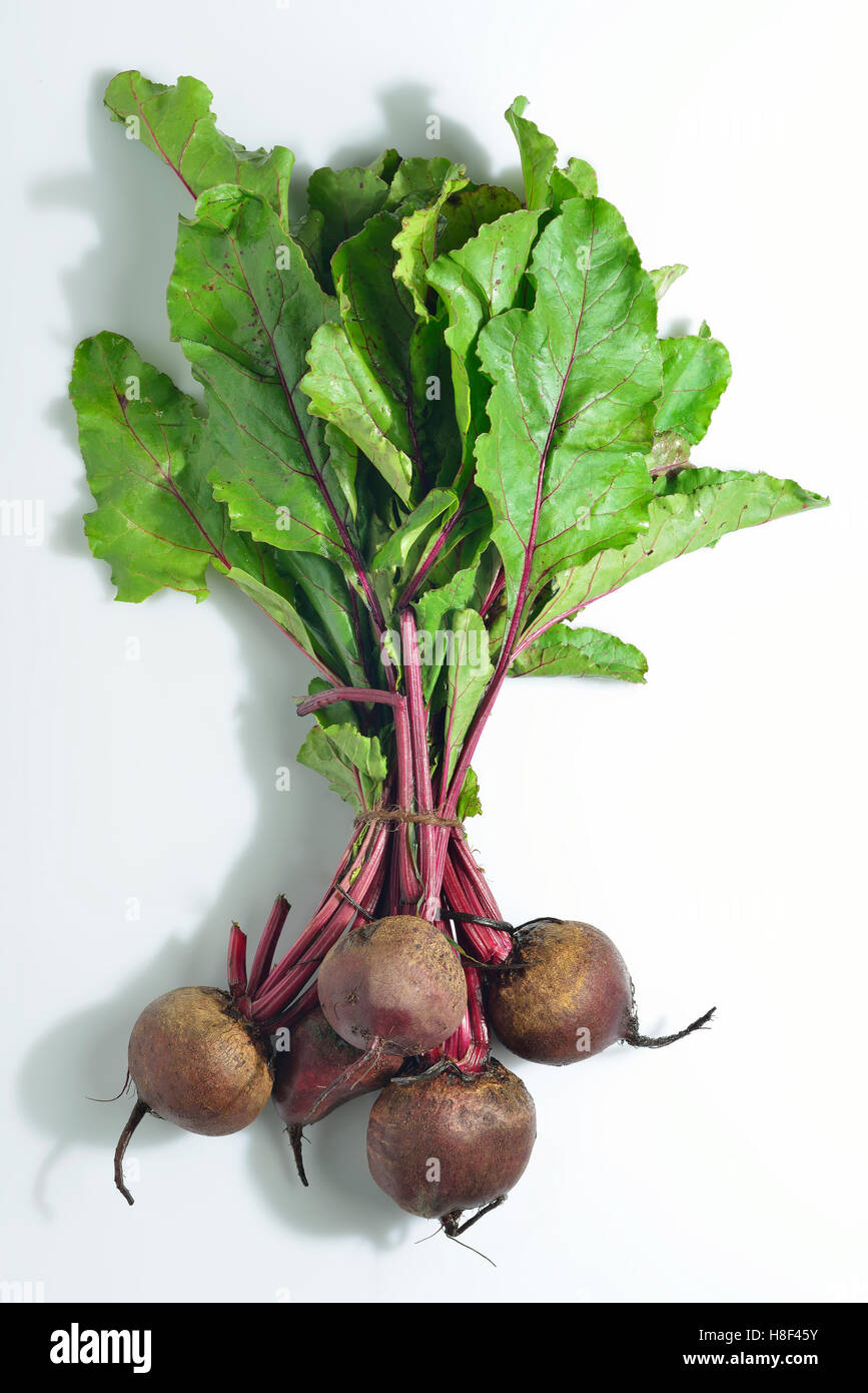 Bunch of Beetroot with Green Leafs on White Background Stock Photo - Alamy