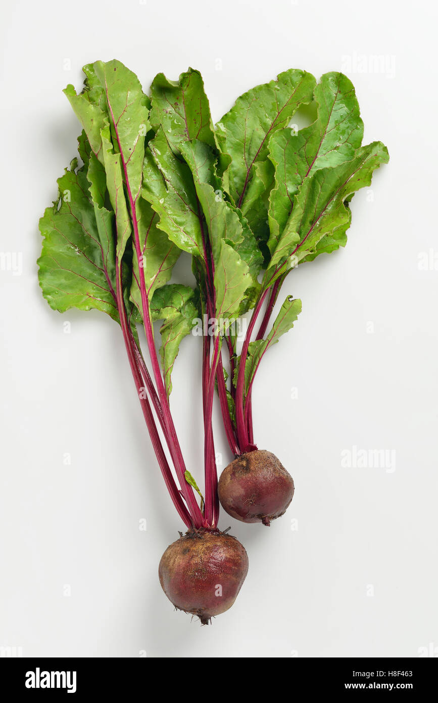 Beetroot purple vegetable on purple hi-res stock photography and images ...