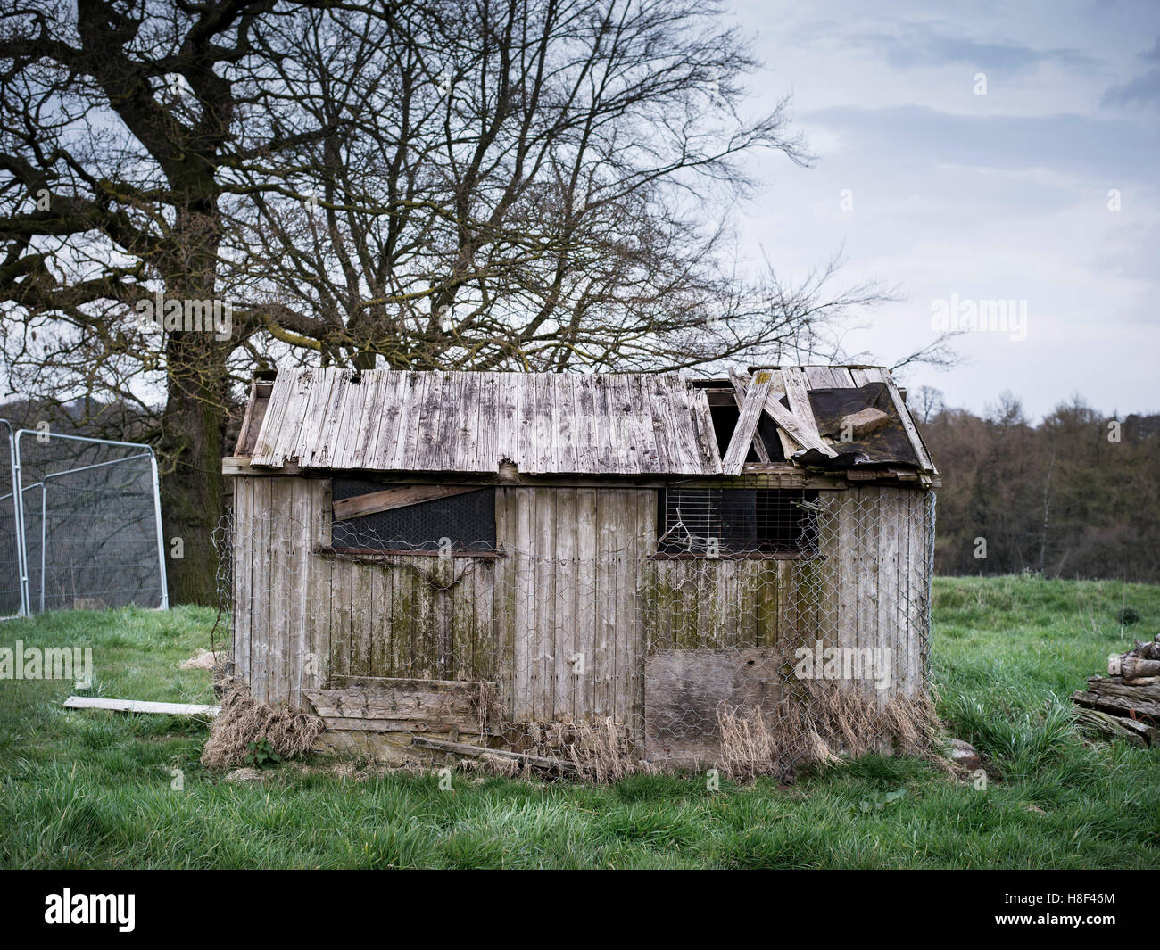 Run down shed hi-res stock photography and images - Alamy