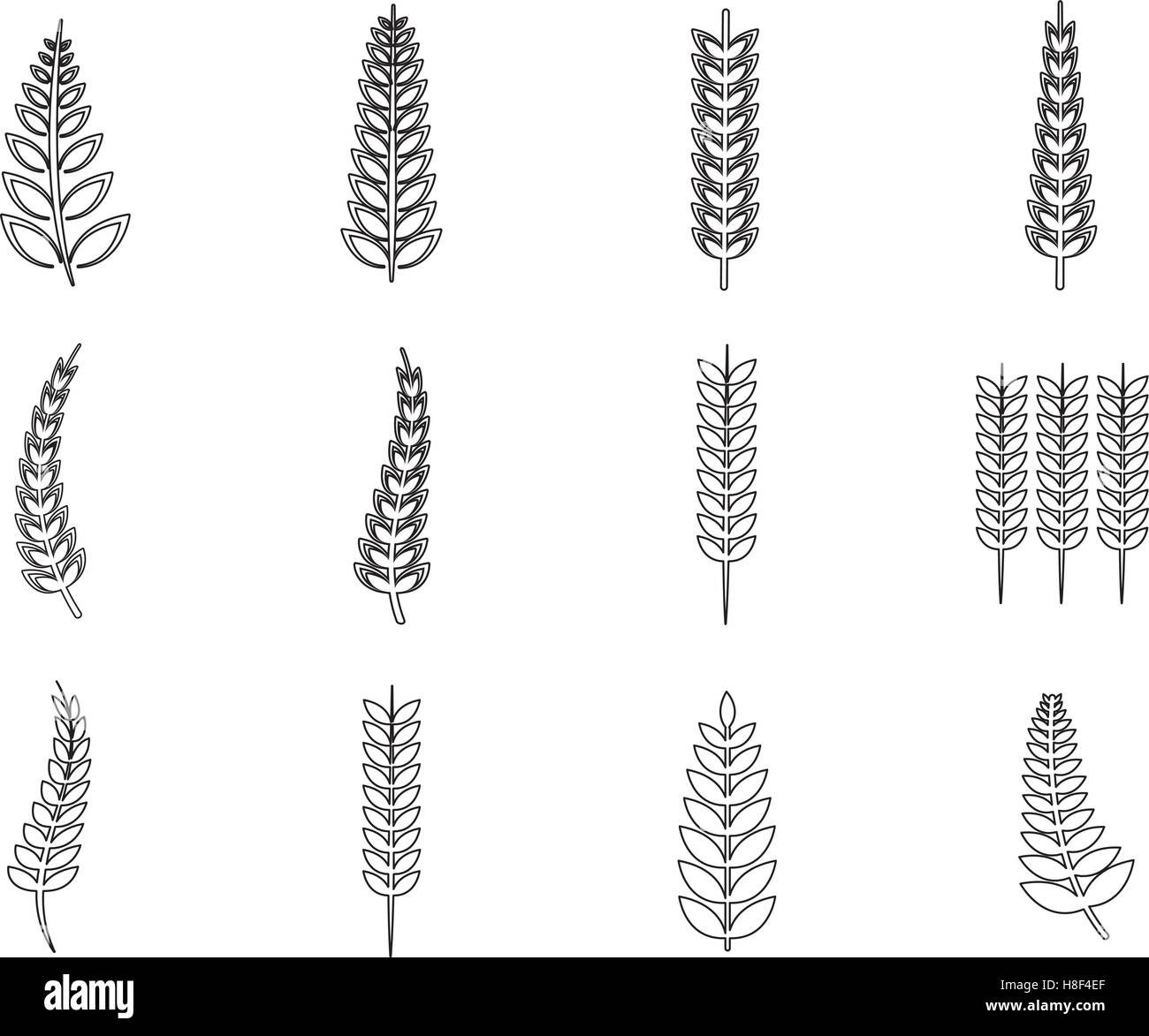 Various ferns icons Stock Vector Image & Art - Alamy
