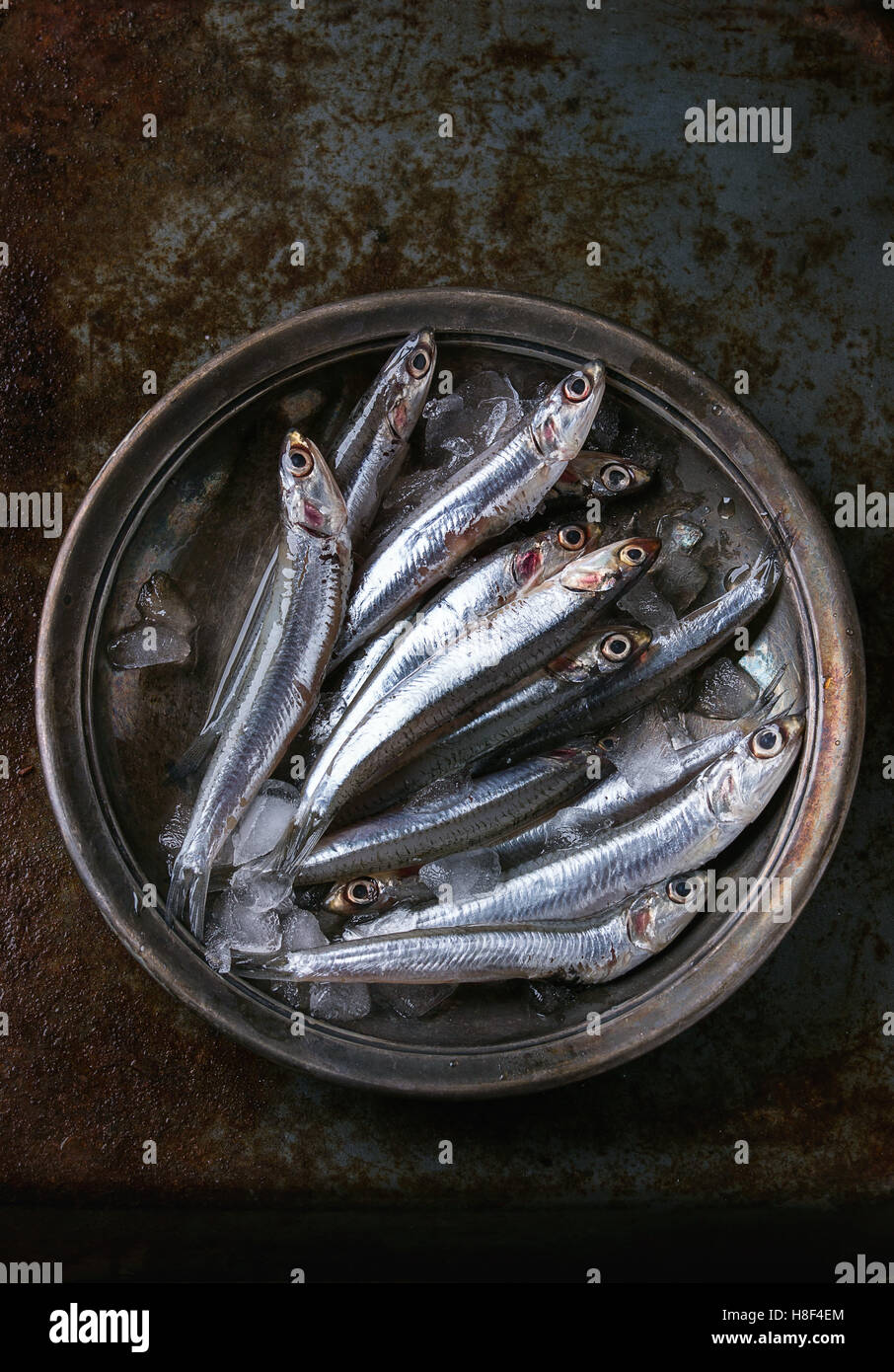Raw fresh anchovies fishes Stock Photo - Alamy