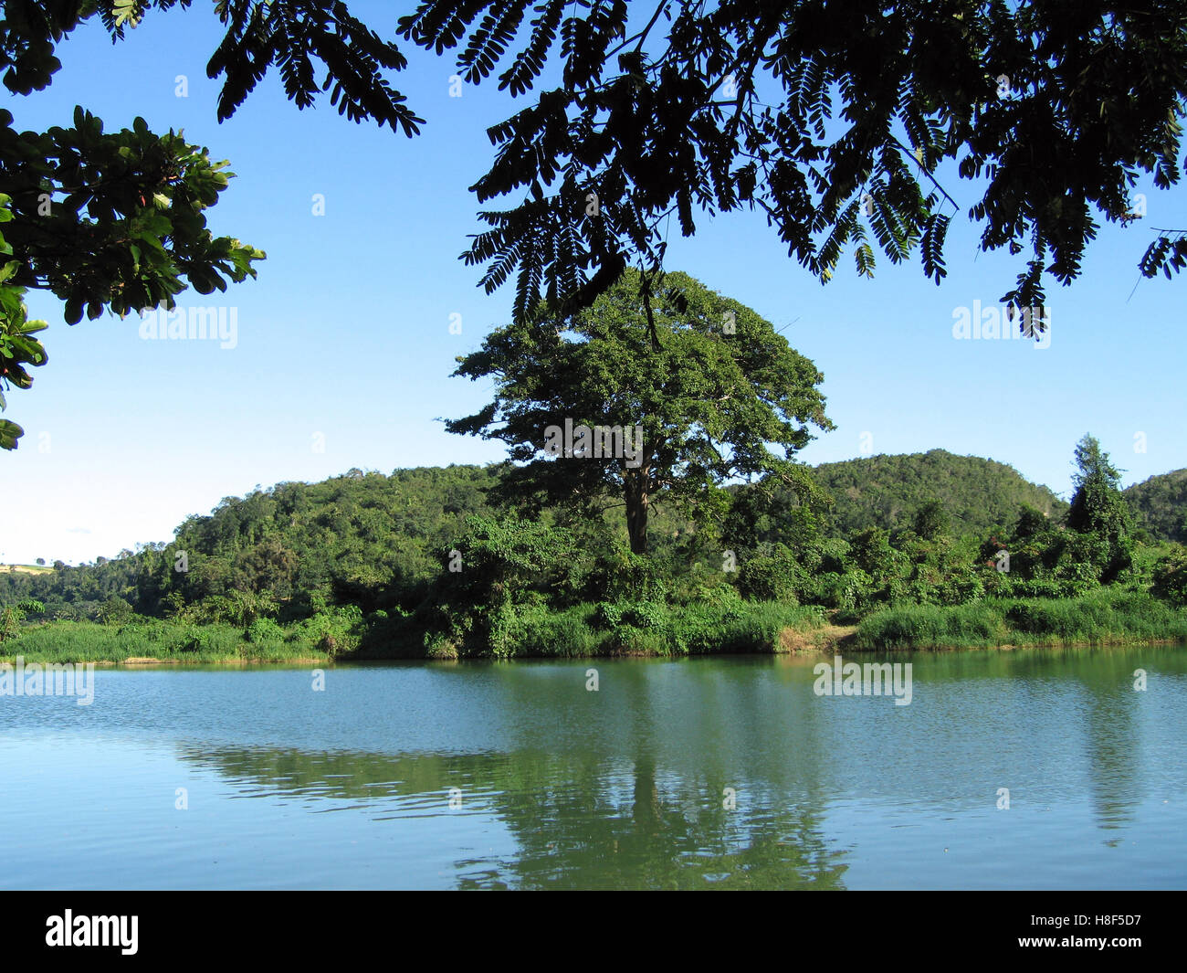 Dominican Republic landscape Stock Photo - Alamy
