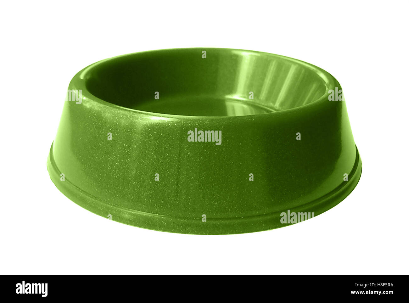 Cat, dog rodent feeding green bowl isolated on white background Stock ...