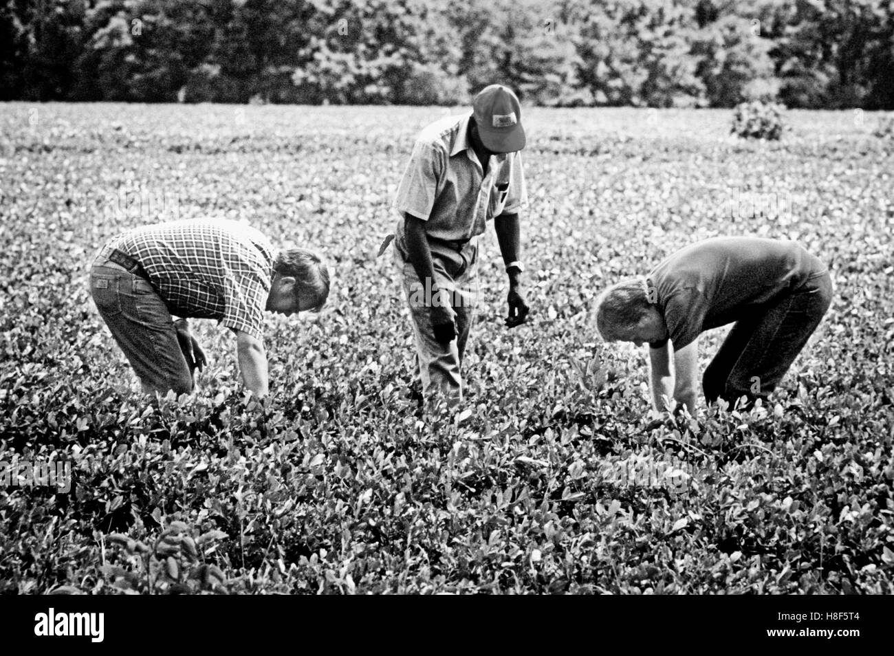 President Jimmy Carter and his brother Billy Carter are joined by a ...