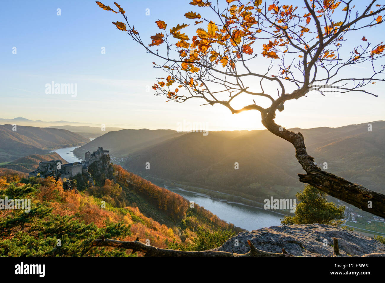 Schönbühel-Aggsbach: Aggstein Castle, river Danube, Wachau ...