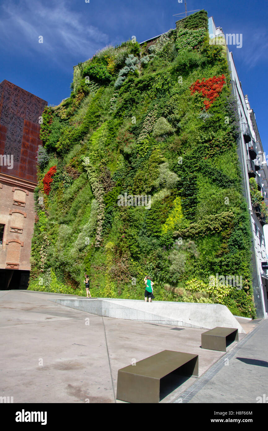 Green wall next to the CaixaForum, desinged by French botanist Patrick ...