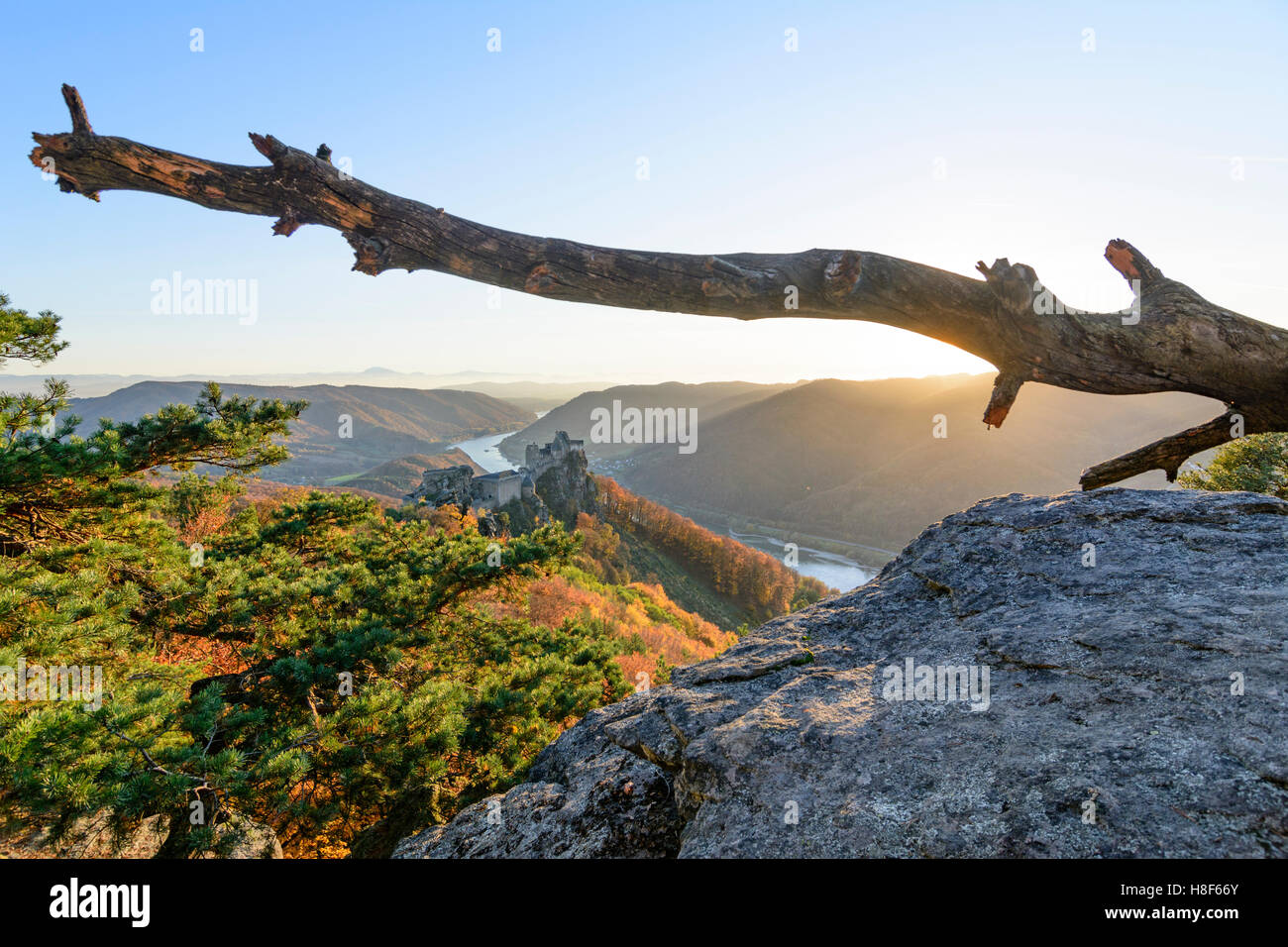 Schönbühel-Aggsbach: Aggstein Castle, river Danube, Wachau ...