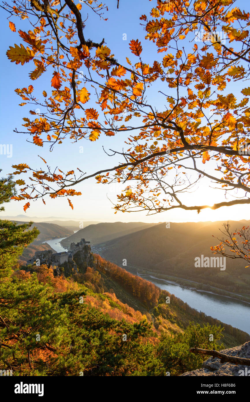 Schönbühel-Aggsbach: Aggstein Castle, river Danube, Wachau ...