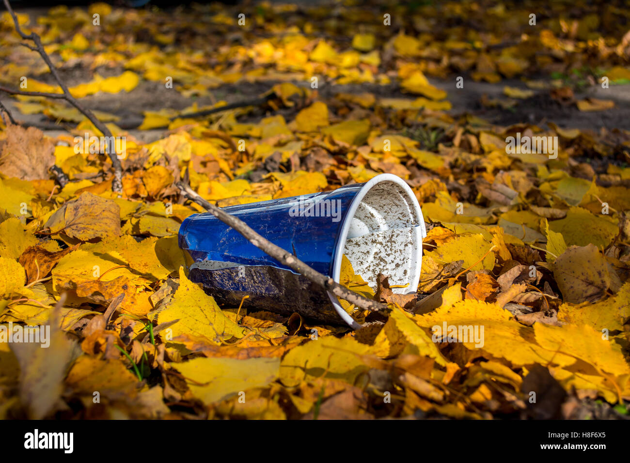 A plastic cup that was left on the newly fallen leaves Stock Photo - Alamy