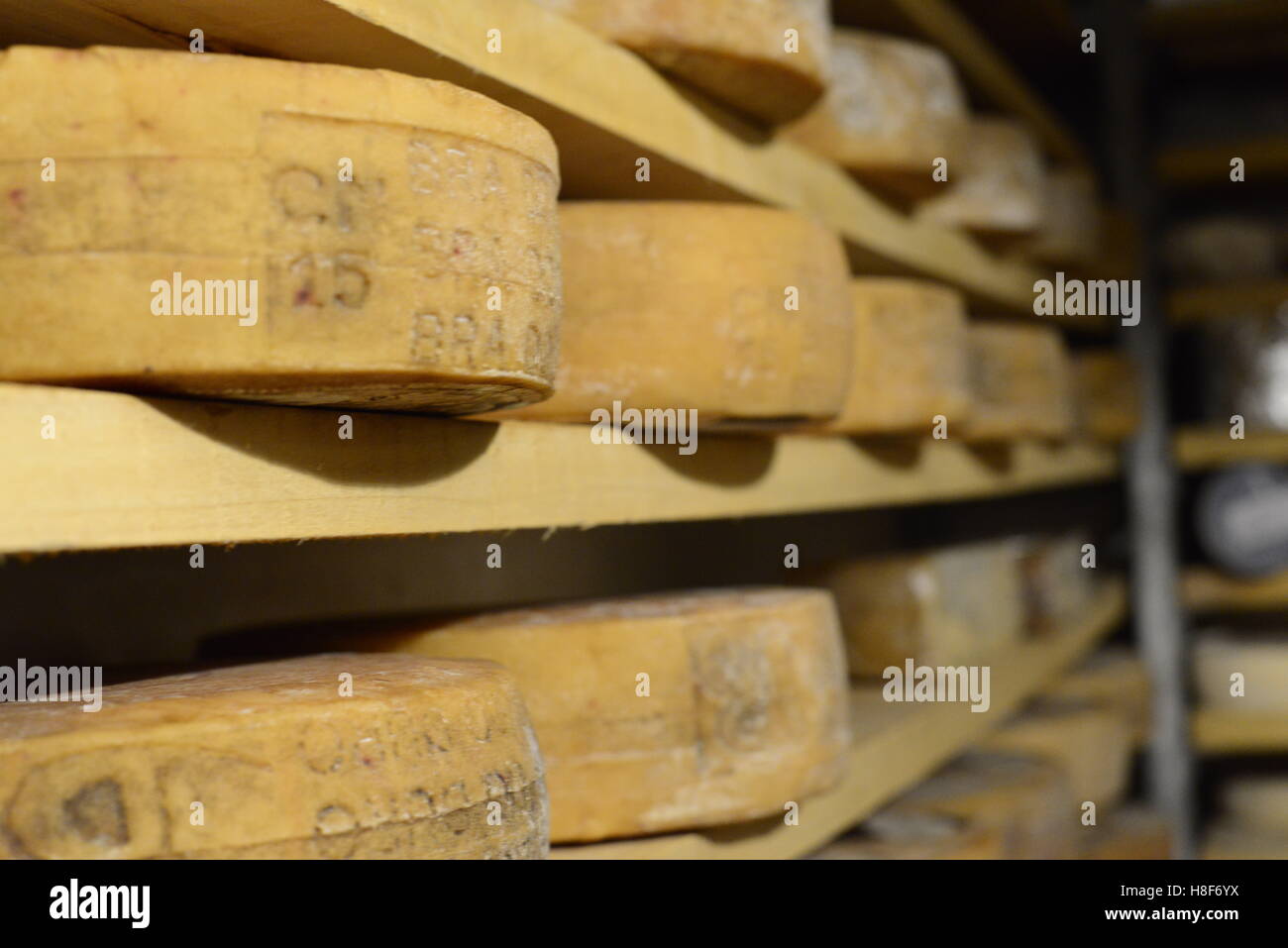 Tasty Italian cheese sold in Giolito cheese shop in Bra, Piedmont ...