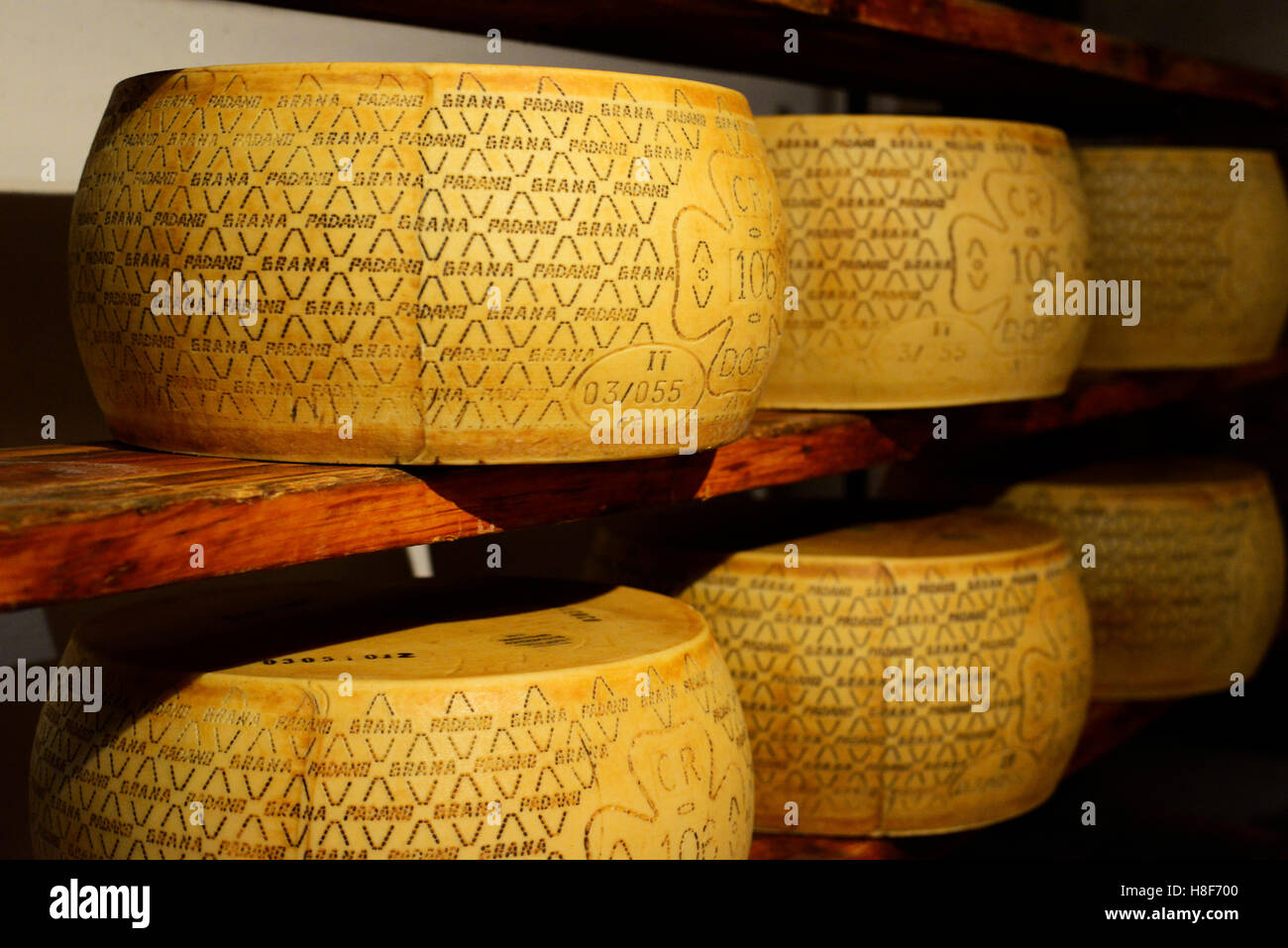 Tasty Italian cheese sold in Giolito cheese shop in Bra, Piedmont ...