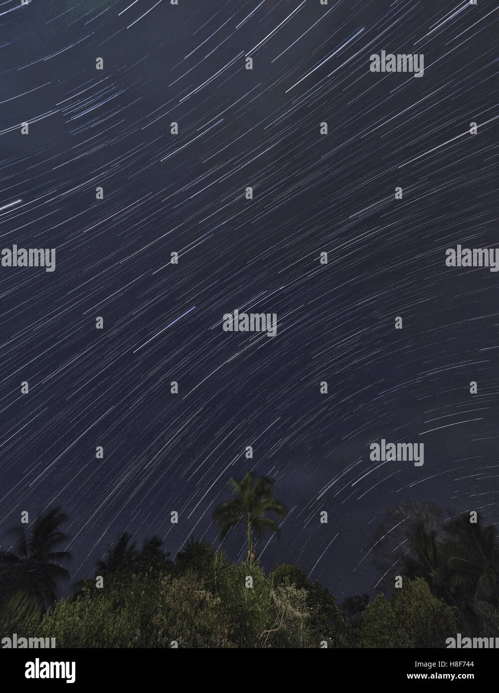 Star trails, Corozal District, Belize Stock Photo - Alamy