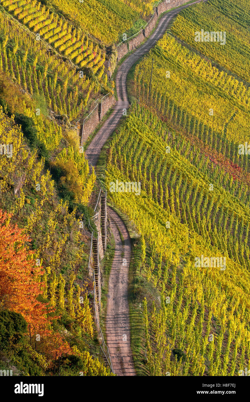 Steep vine slope hi-res stock photography and images - Alamy