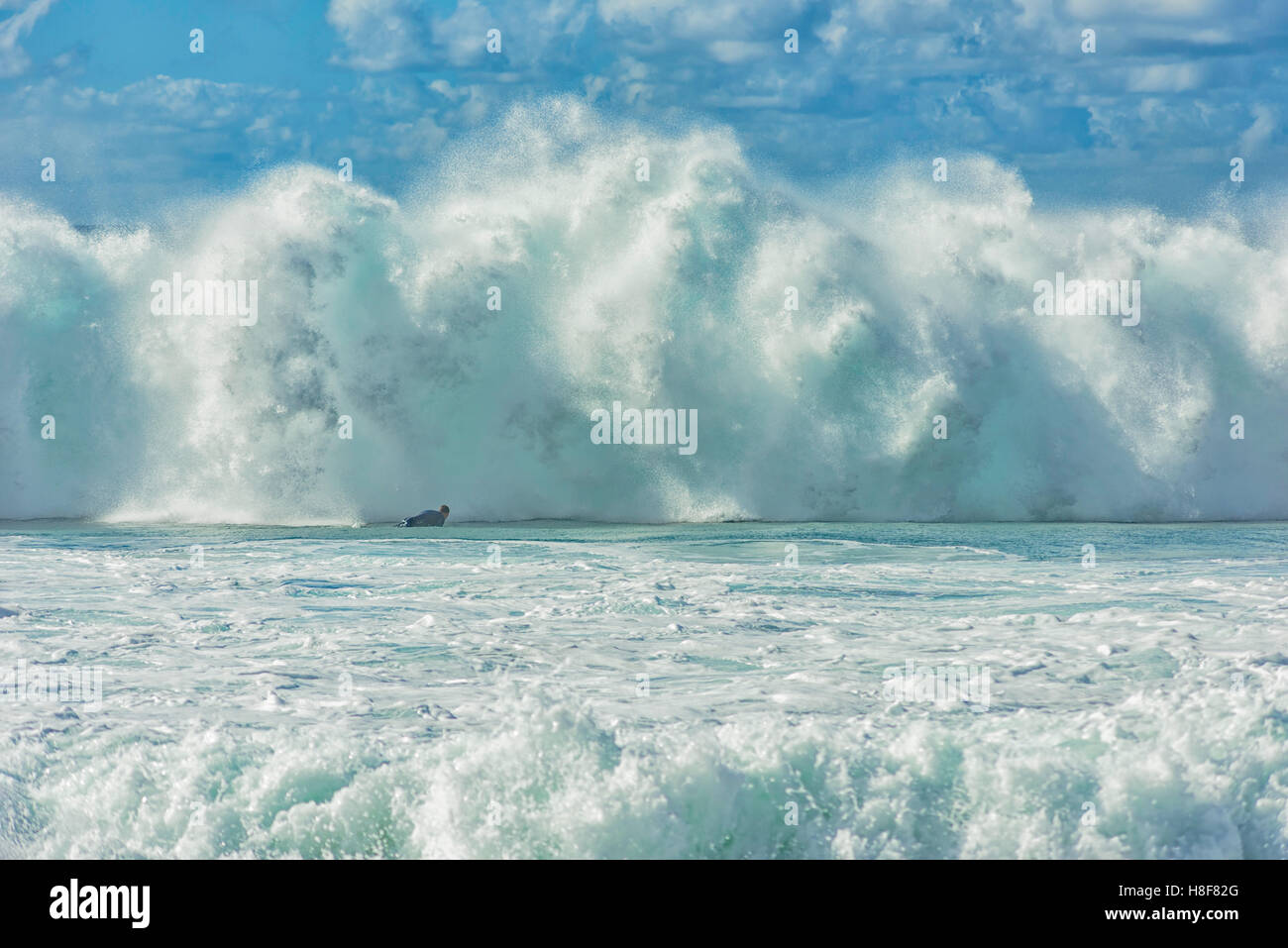 Surfer headed out meets the break at Banzai Pipeline, Ehukai Beach Park ...