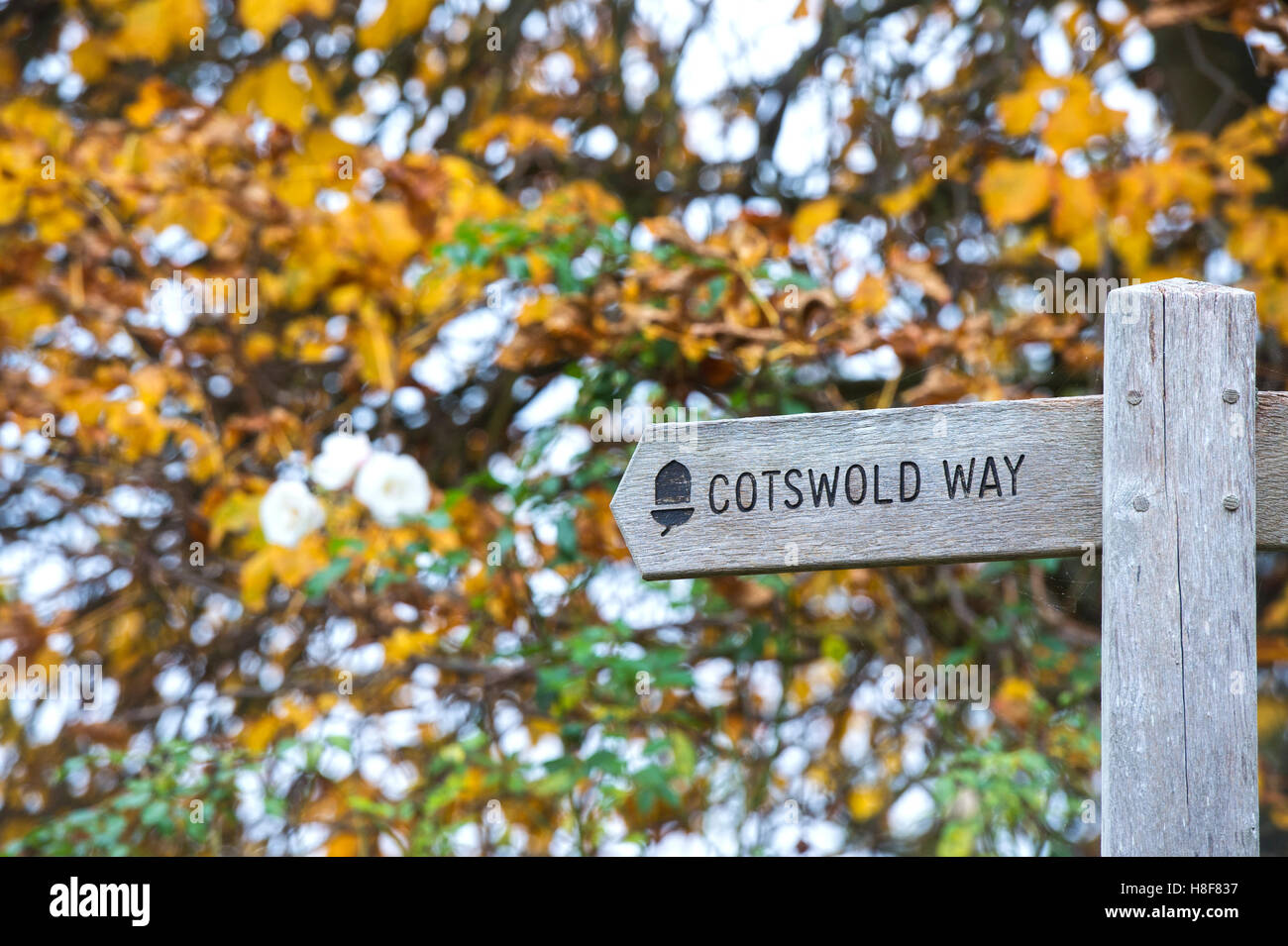 Signs of autumn hi-res stock photography and images - Alamy