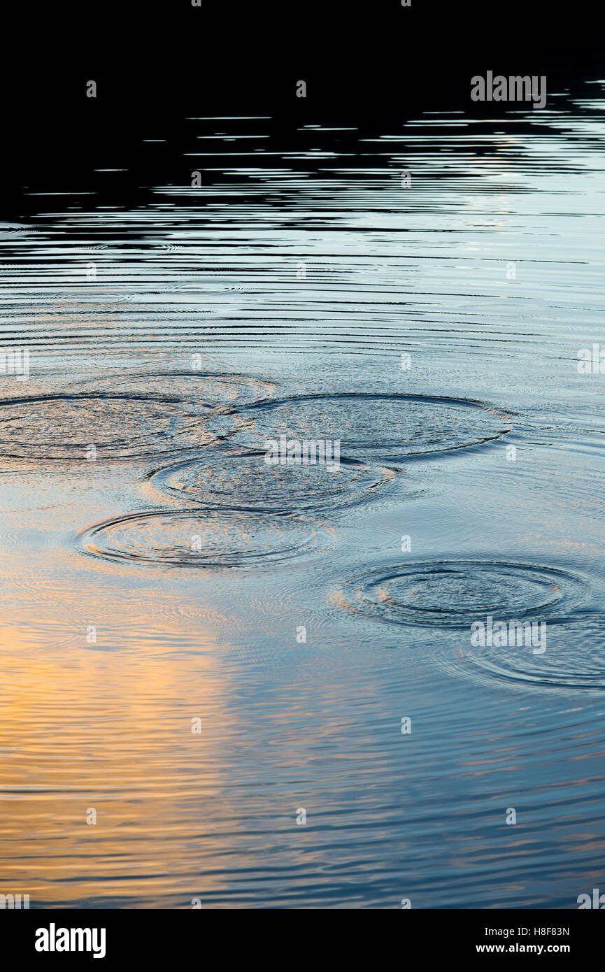 Black ripple circular hi-res stock photography and images - Alamy