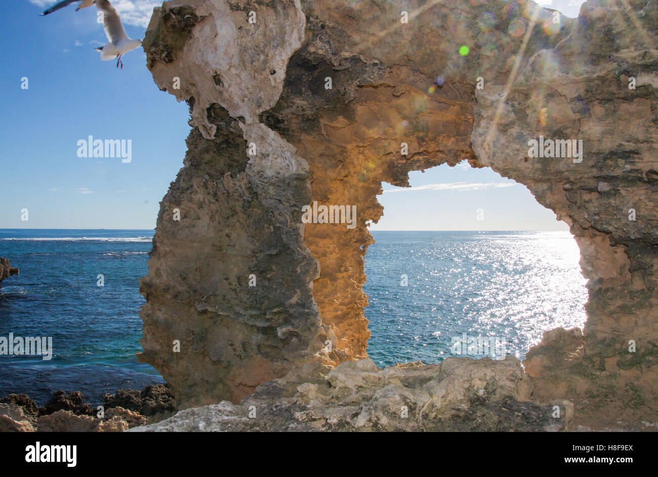 Limestone Under Sea Stock Photos & Limestone Under Sea Stock Images - Alamy