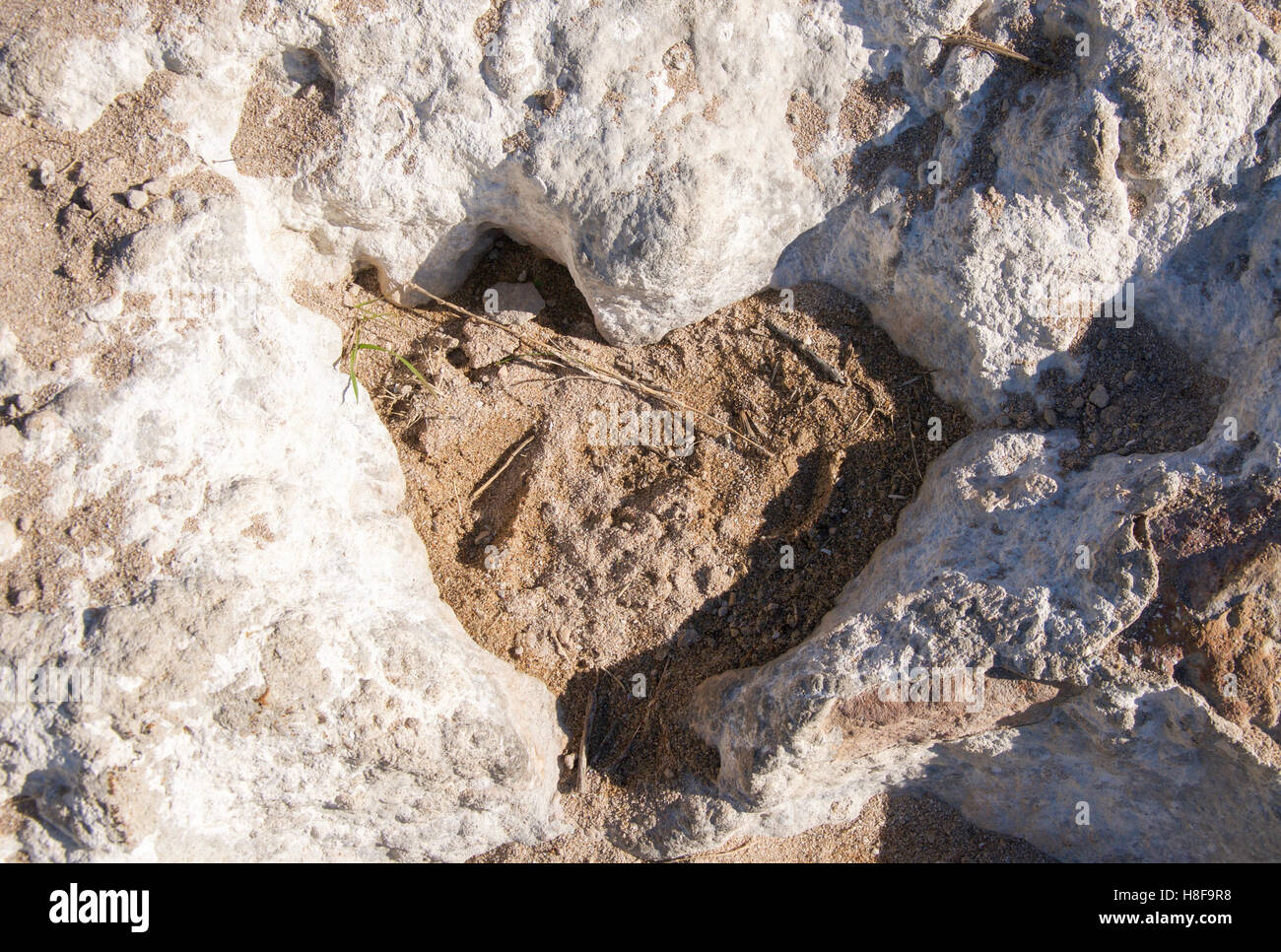 Natural heart shape formation hi-res stock photography and images - Alamy