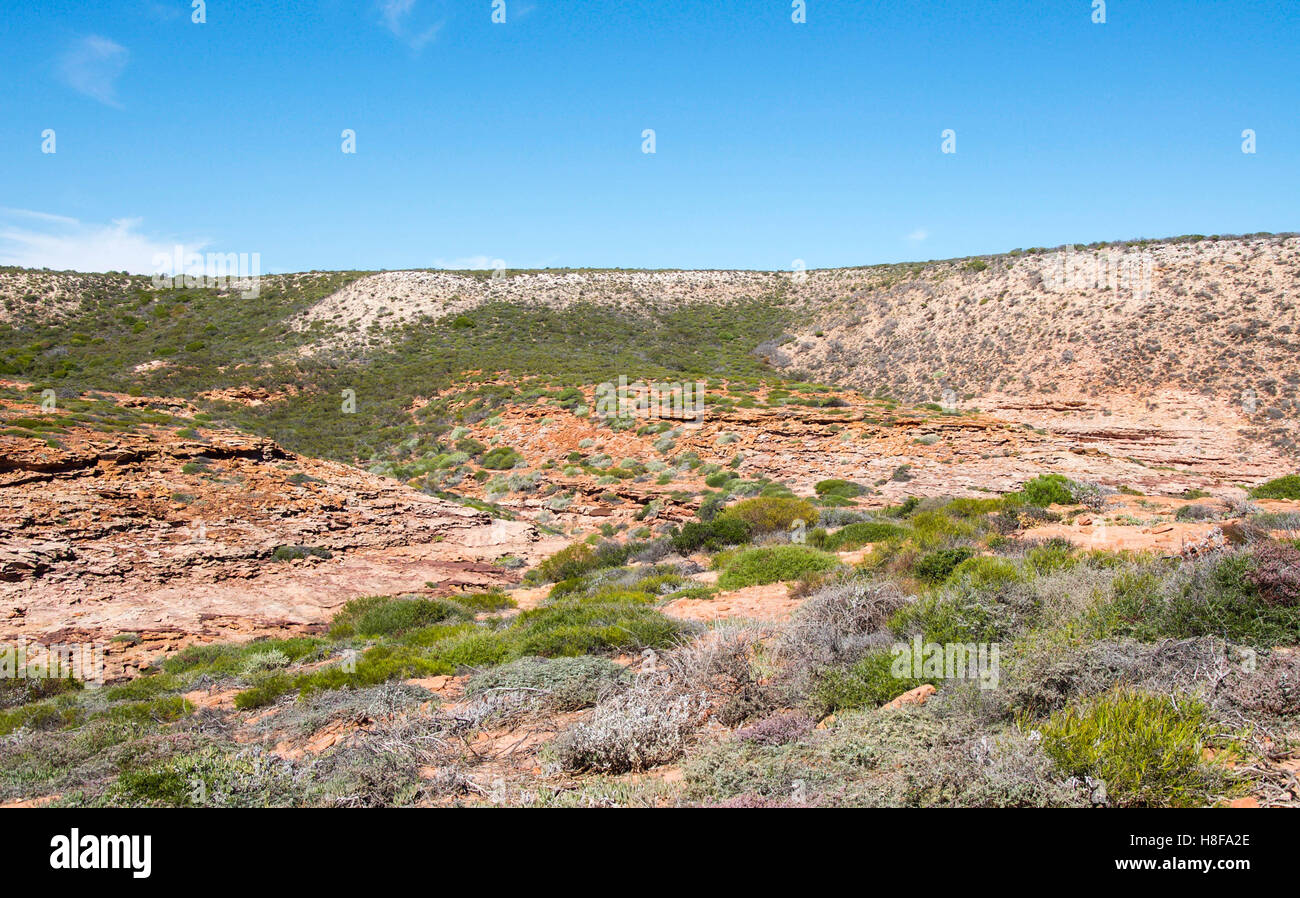 Native bushland landscape at Pot Alley with flora and red sandstone ...