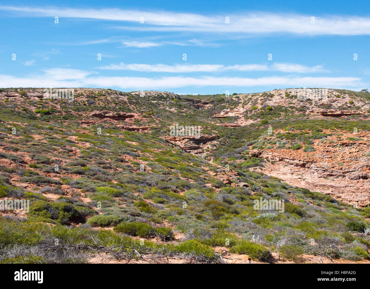 Native bushland landscape at Pot Alley with flora and red sandstone ...
