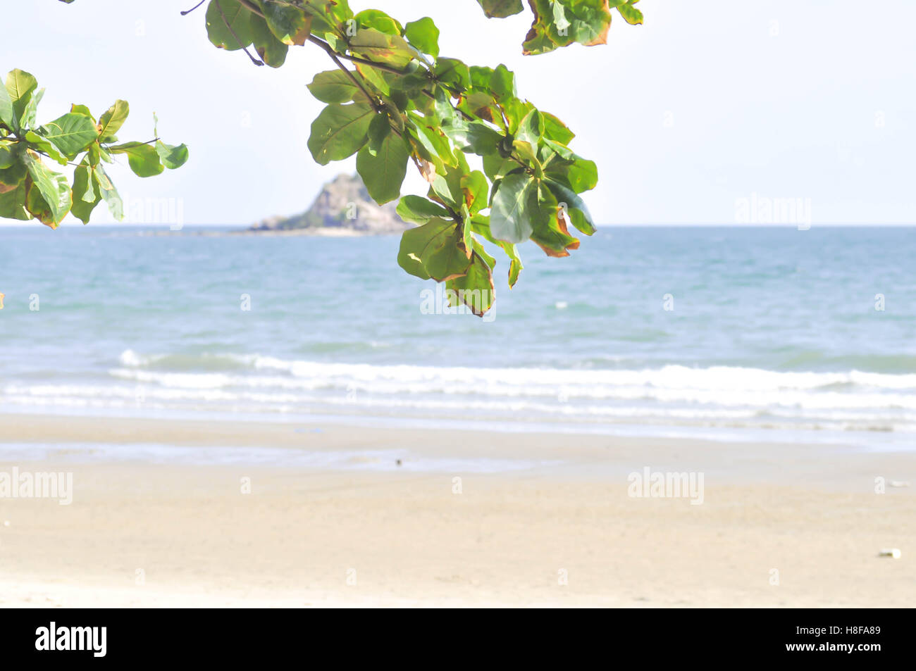 sky , tree and sea background Stock Photo - Alamy