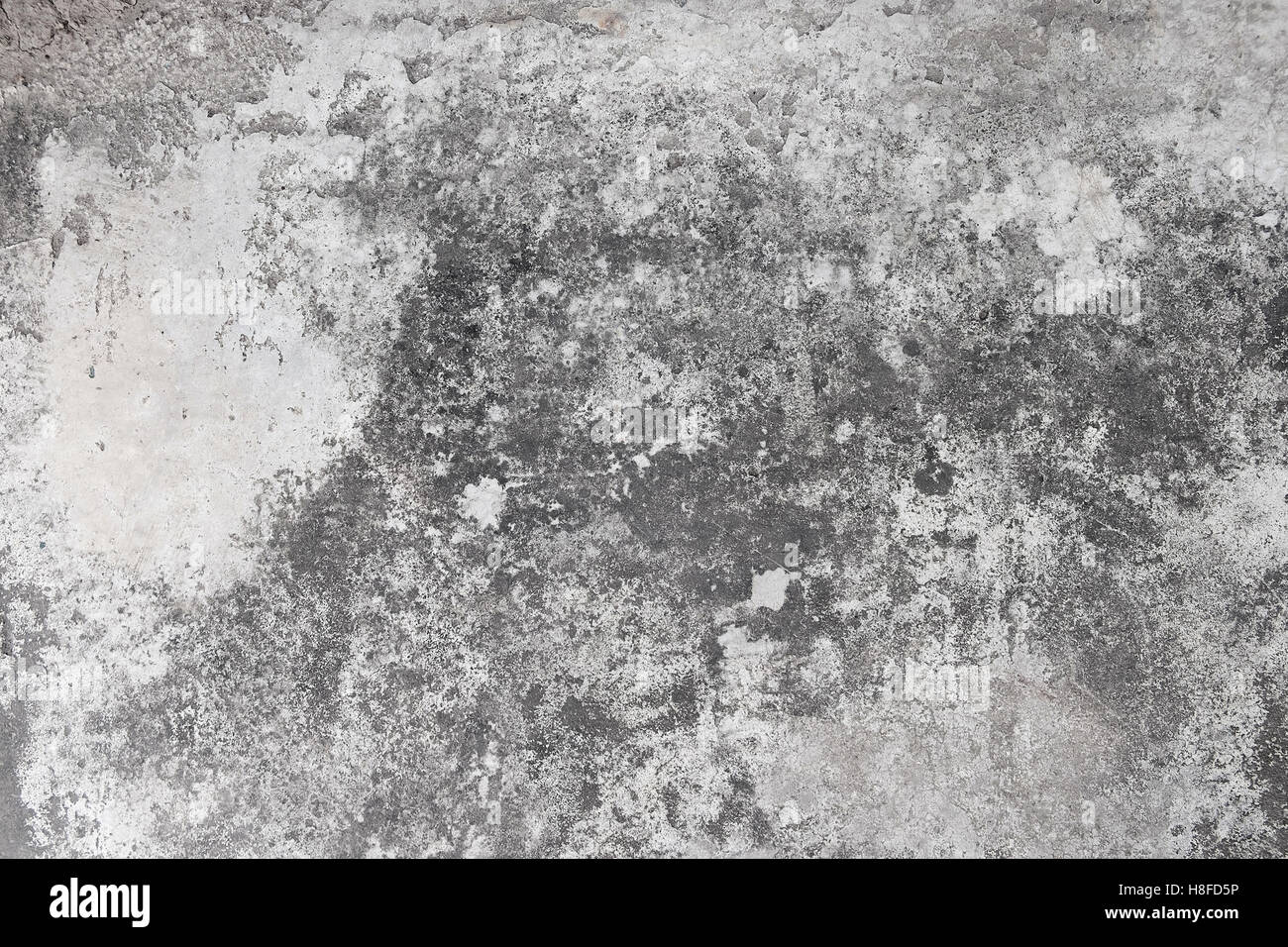 Polished old grey concrete floor, texture background Stock Photo - Alamy