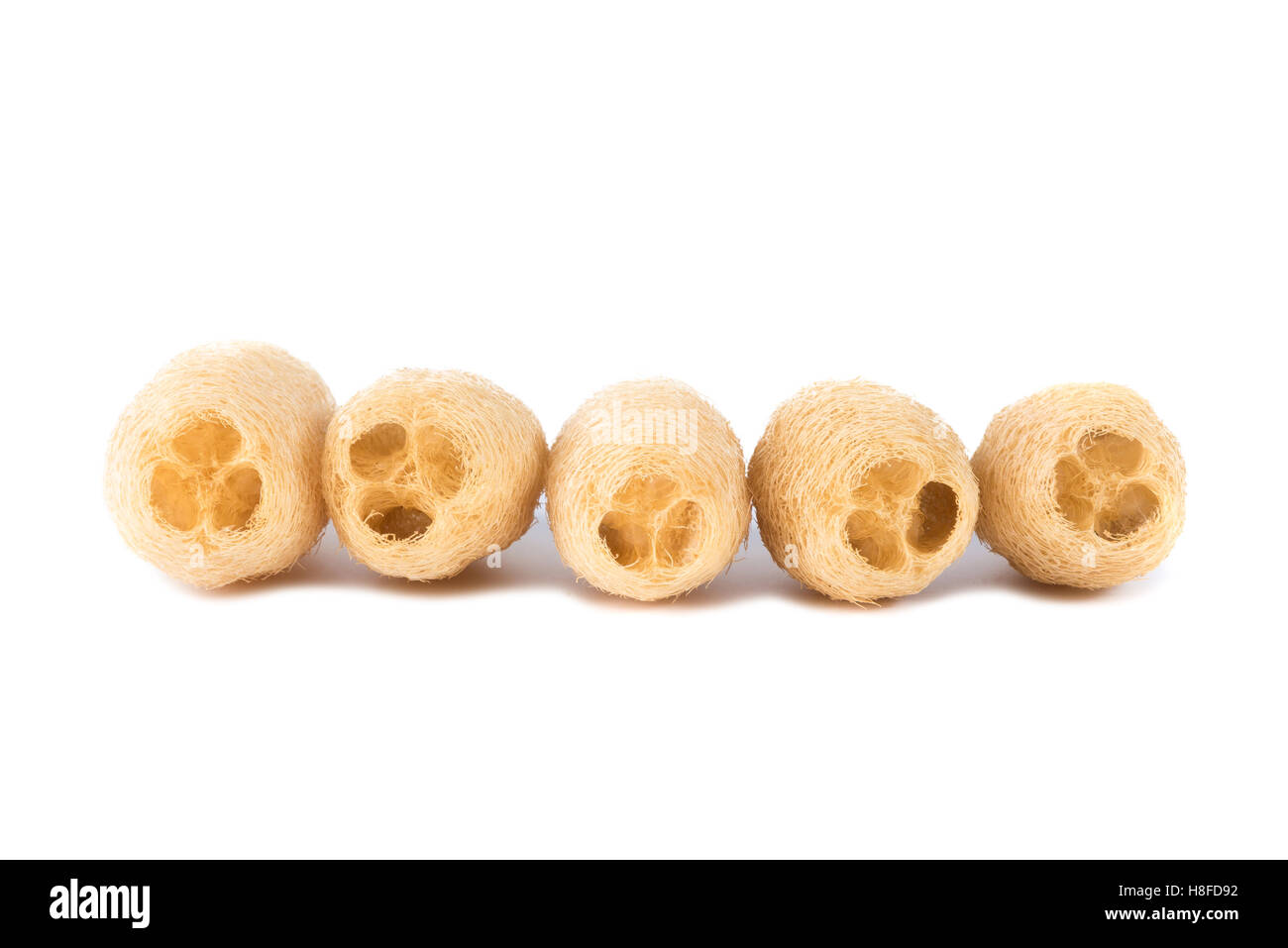 Dry Luffa, luffa sponge on white background, isolated with soft shadow ...