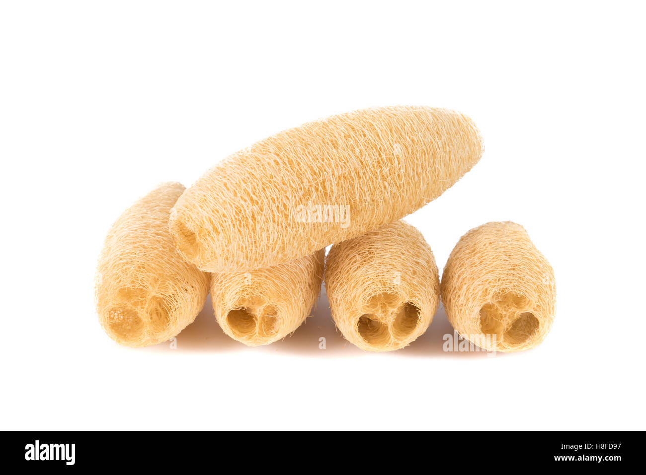 Dry Luffa, luffa sponge on white background, isolated with soft shadow ...