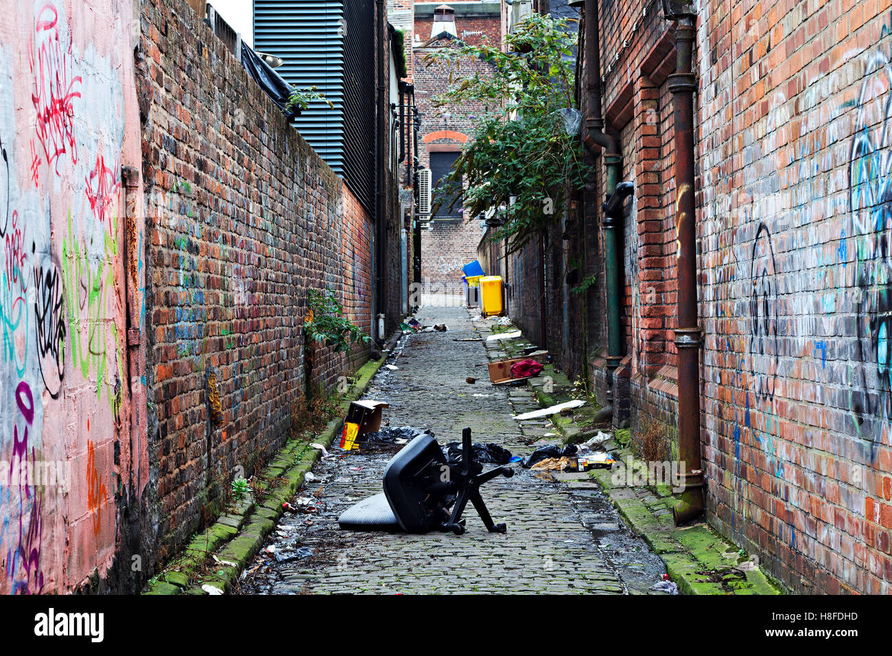 Bin in alley hi-res stock photography and images - Alamy
