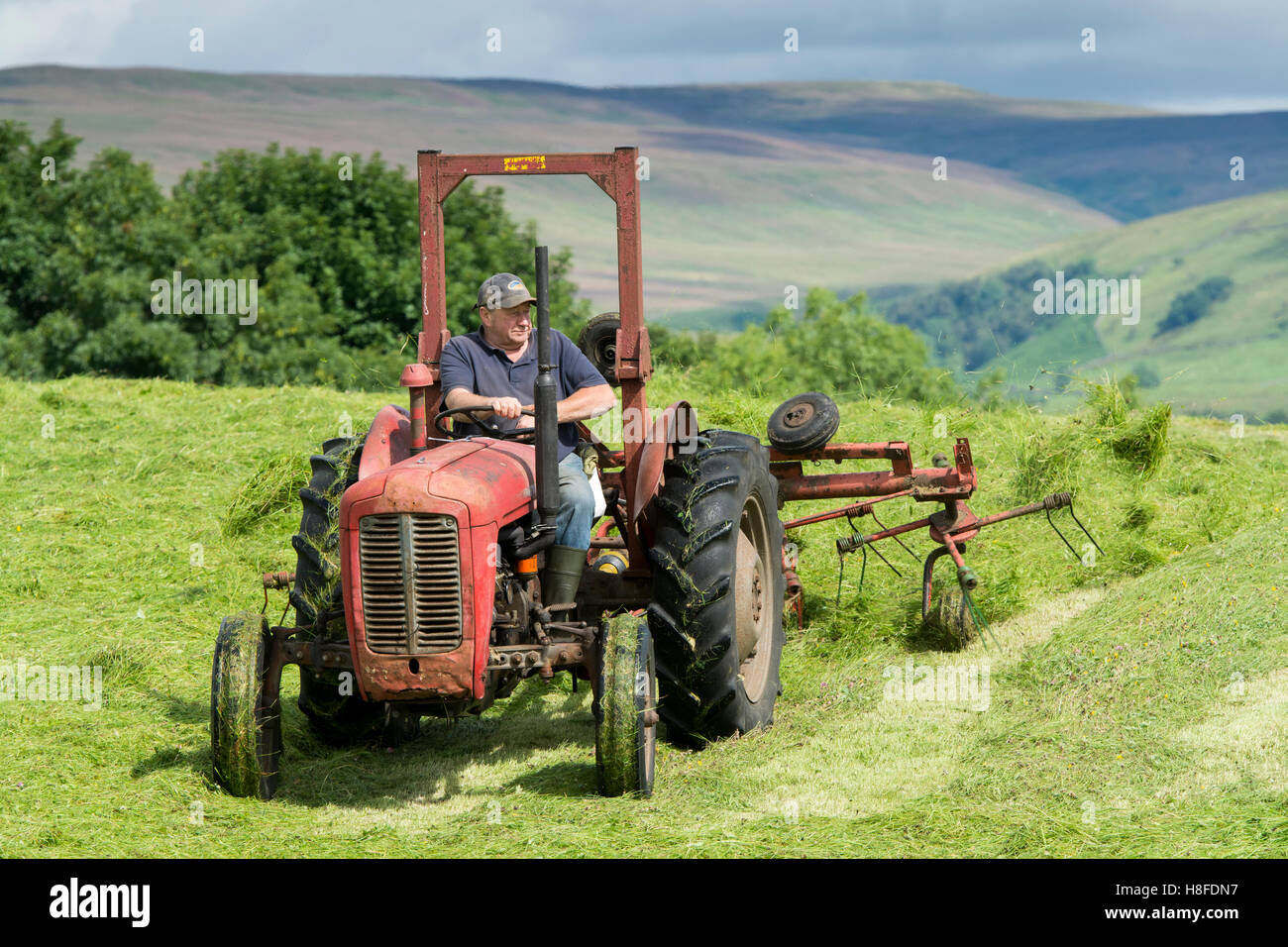 Farmer in Wensleydale turning grass to make hay with a vintage Massey ...