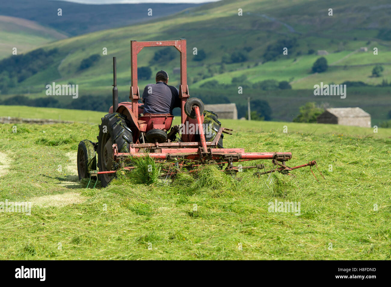 Farmer in Wensleydale turning grass to make hay with a vintage Massey ...