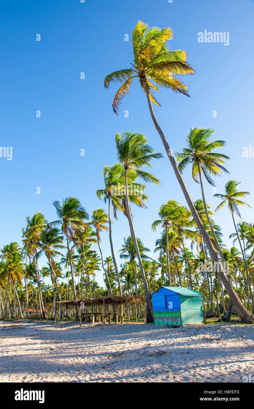 Colorful Brazilian beach shack on the shore of a remote tropical island ...